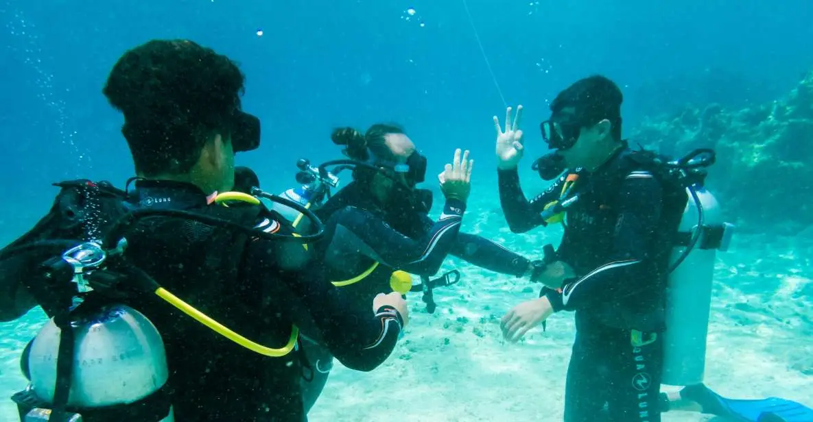 Discover Scuba Diving in Cozumel 2 Tanks - Cozumel Mexico.net