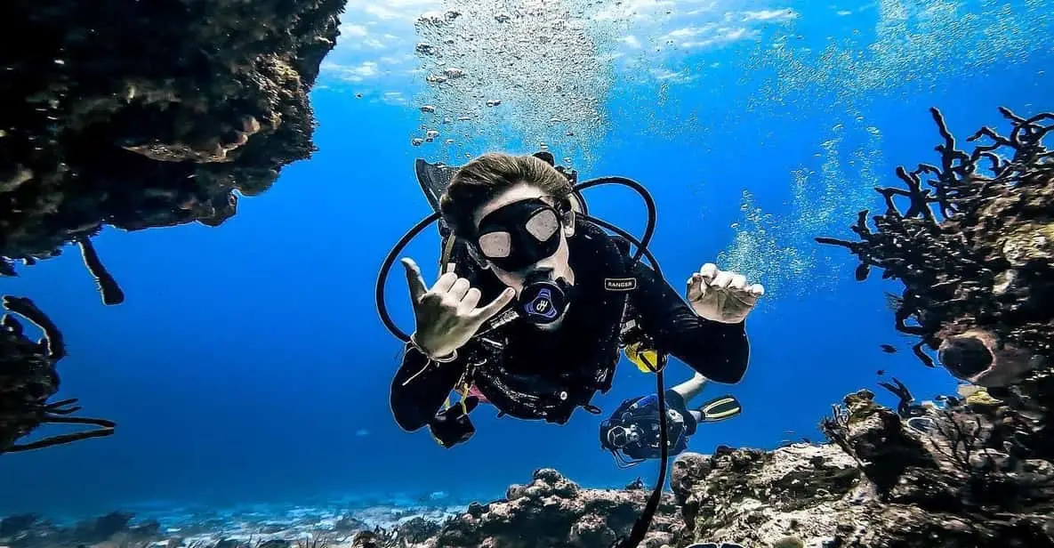 From Cozumel: Double Tank Scuba Diving for Certified Divers - Cozumel ...