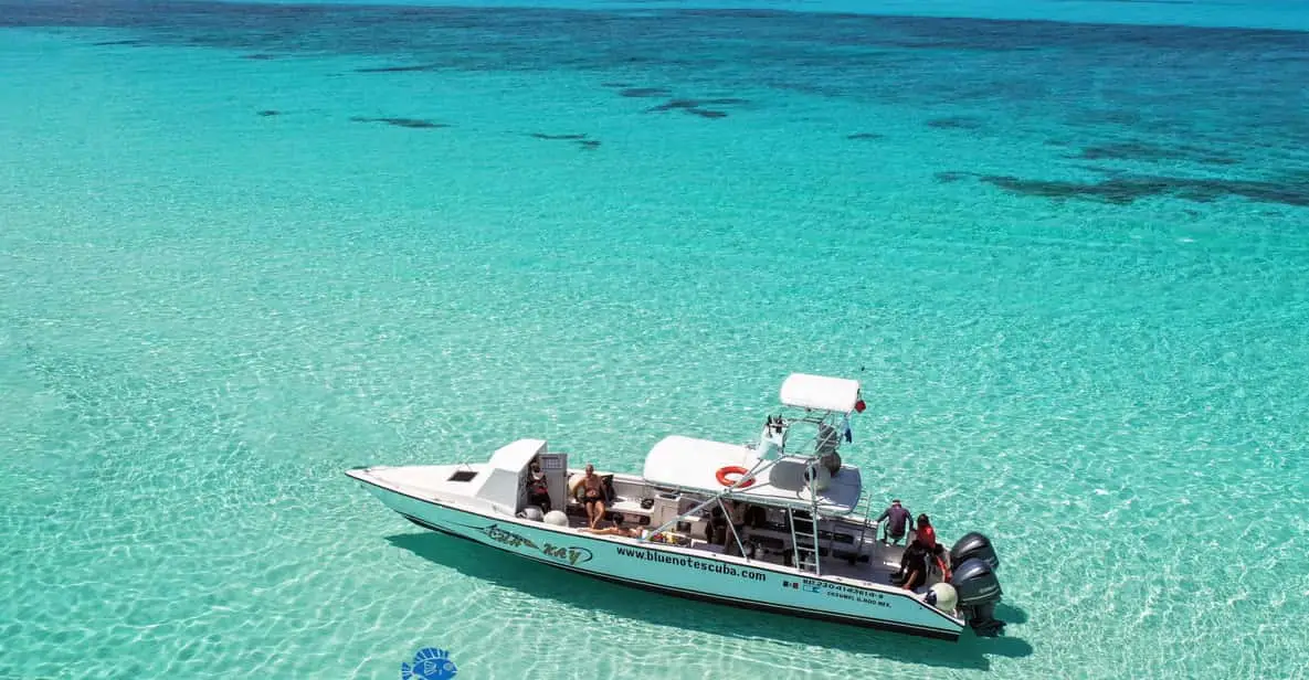 2 Tank Morning Cozumel Dives for Certified Divers - Cozumel Mexico.net