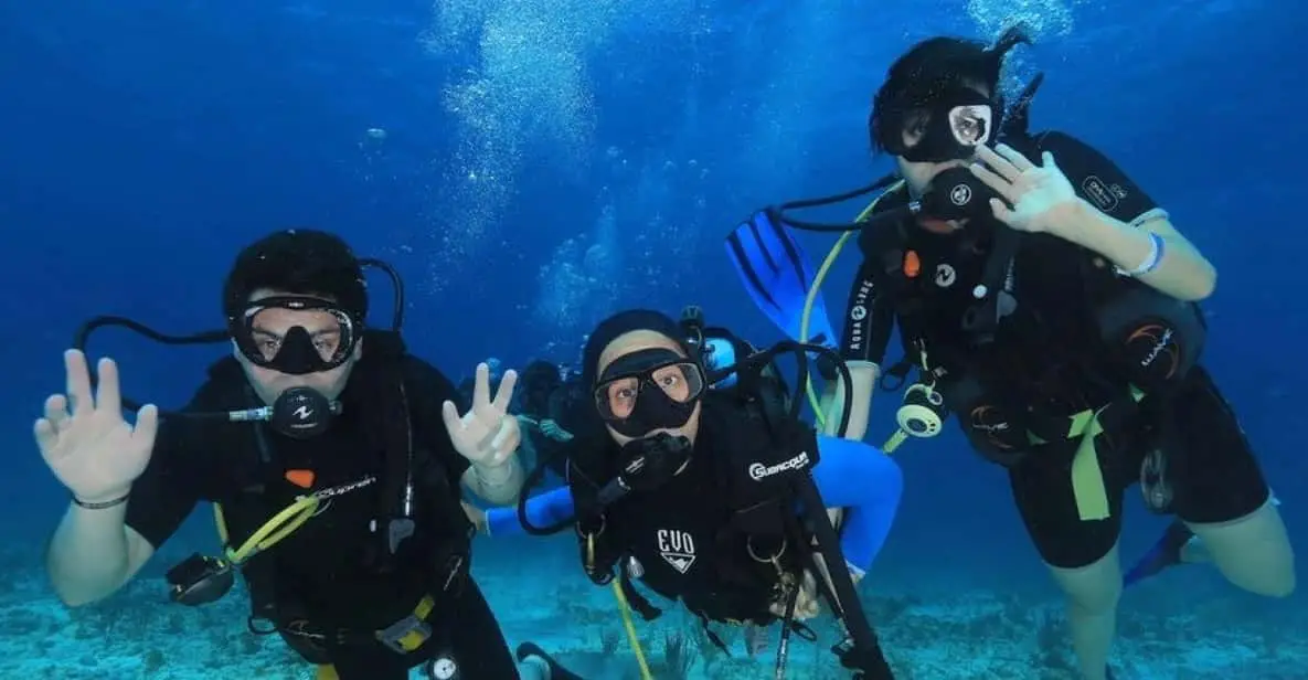 Cozumel: 2-Tank Dive Trip with Lunch and Transfers - Cozumel Mexico.net