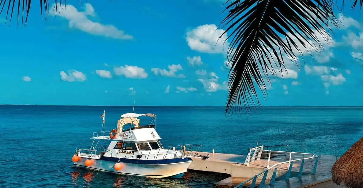 Cozumel: 2 tanks certified scuba diving - Cozumel Mexico.net