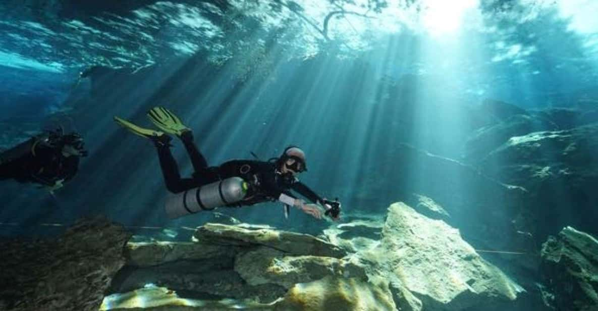 Cozumel: Fun Dive Adventure - Cozumel Mexico.net